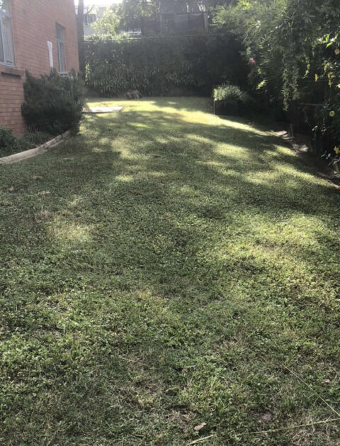 Overgrown Lawn Clean Up - Brisbane Lawn Mowing & Landscape Specialists