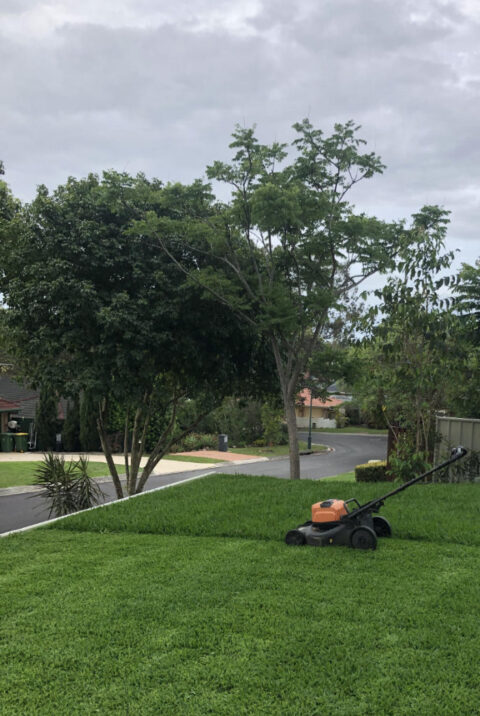 Fresh Turf Mowing - Brisbane Lawn Mowing & Landscape Specialists